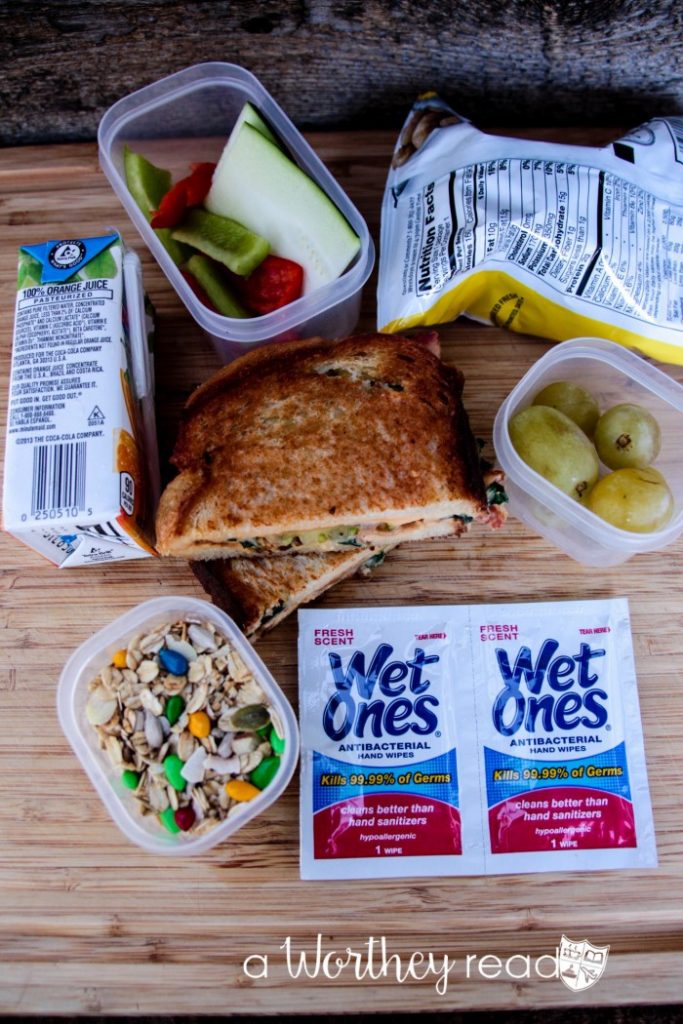 Grilled Cheese with Tomato | Lunchbox Idea