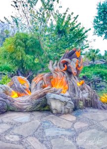 Things To Do At Disney's Animal Kingdom At Night