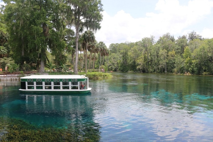 Travel Idea: 6 Adventures You Can Have in Ocala/Marion County