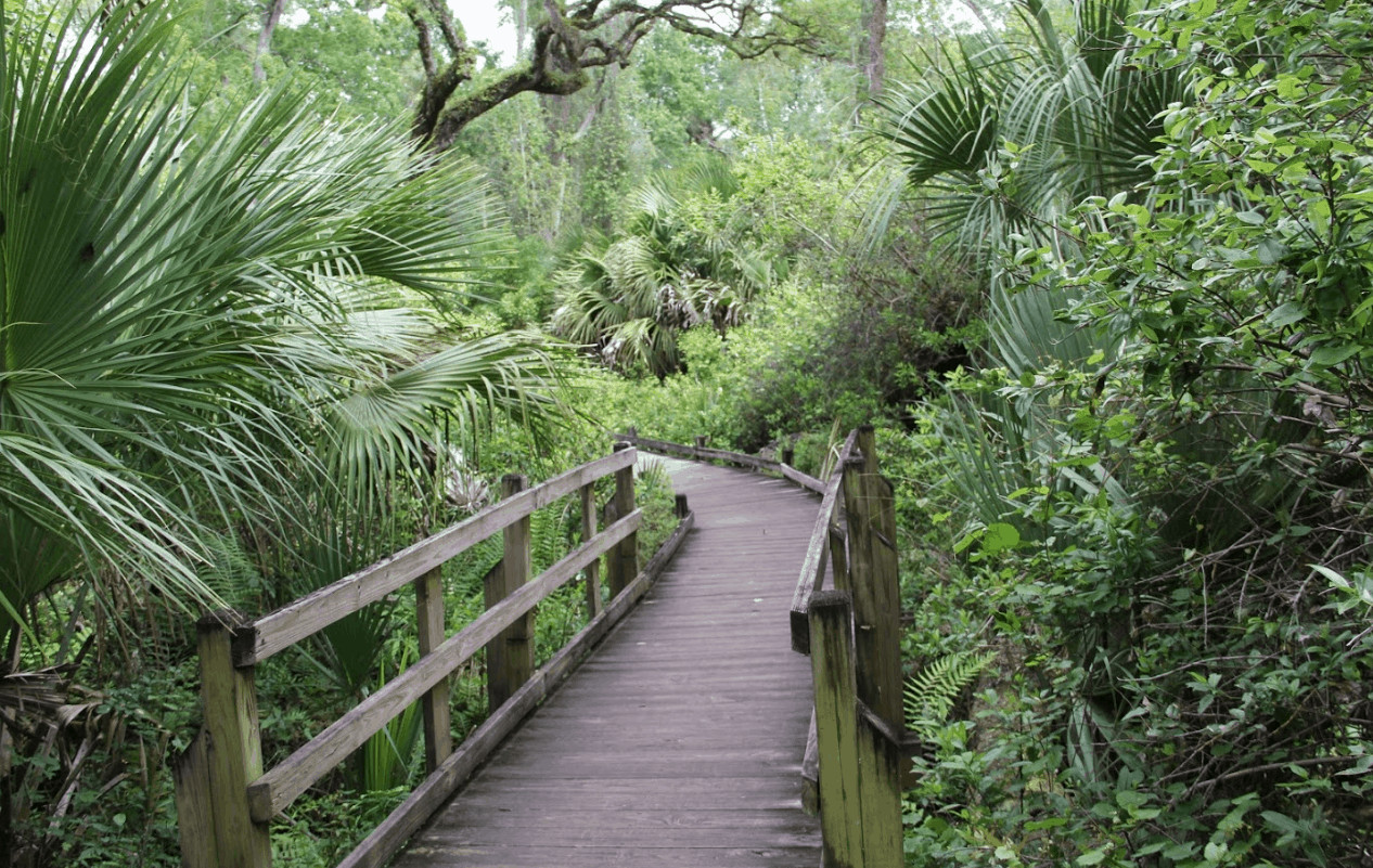 25 Reasons Why Ocala/Marion County, Florida Needs To Be On Your Bucket List