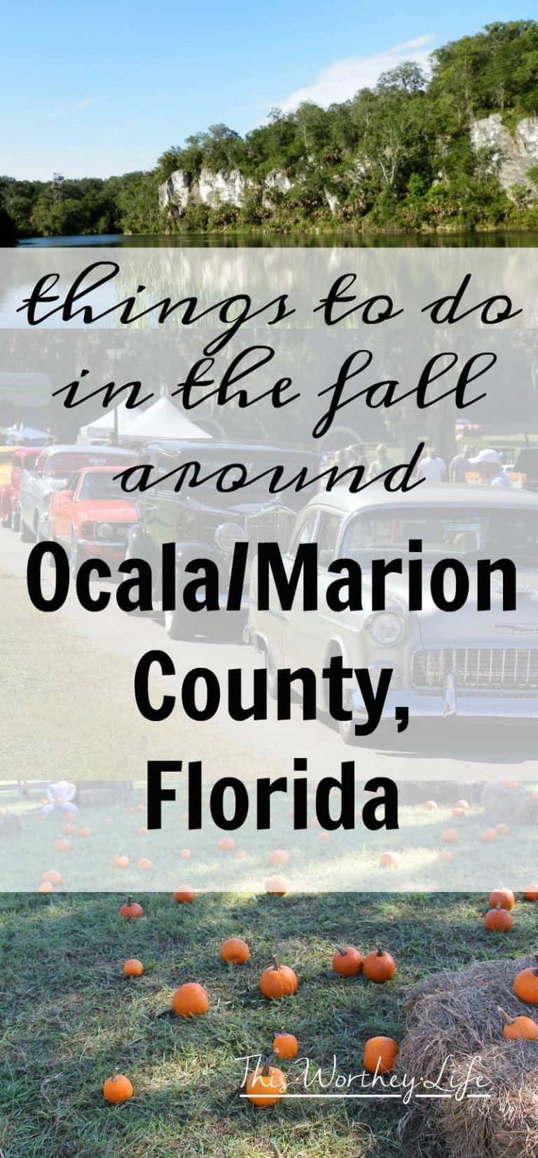 Fall Activities In Ocala/Marion County, Florida