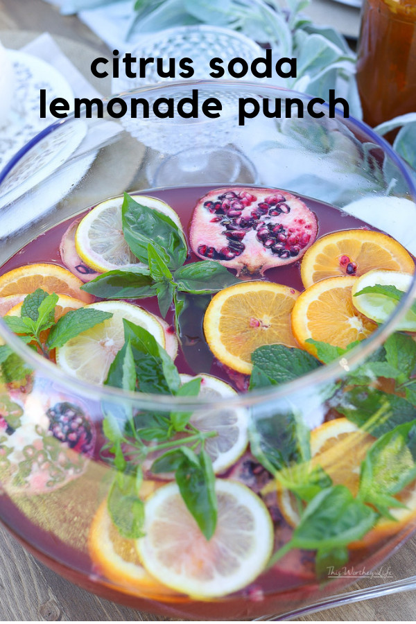 Non-Alcoholic Punch - Soda Punch Recipe