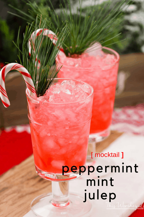 Christmas Peppermint Julep Recipe | Holiday Drink