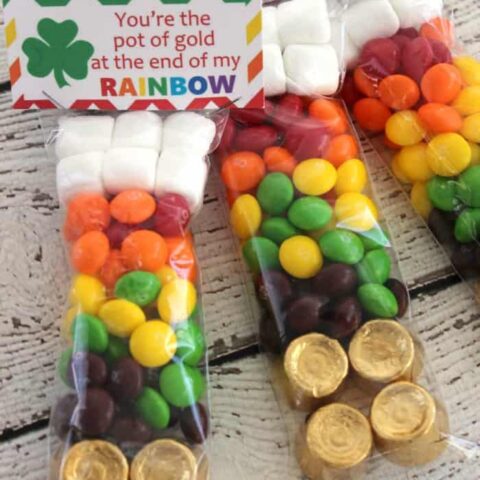 St. Patrick's Day Treat Idea: St. Patrick's Day Skittles Rainbow In A Bag