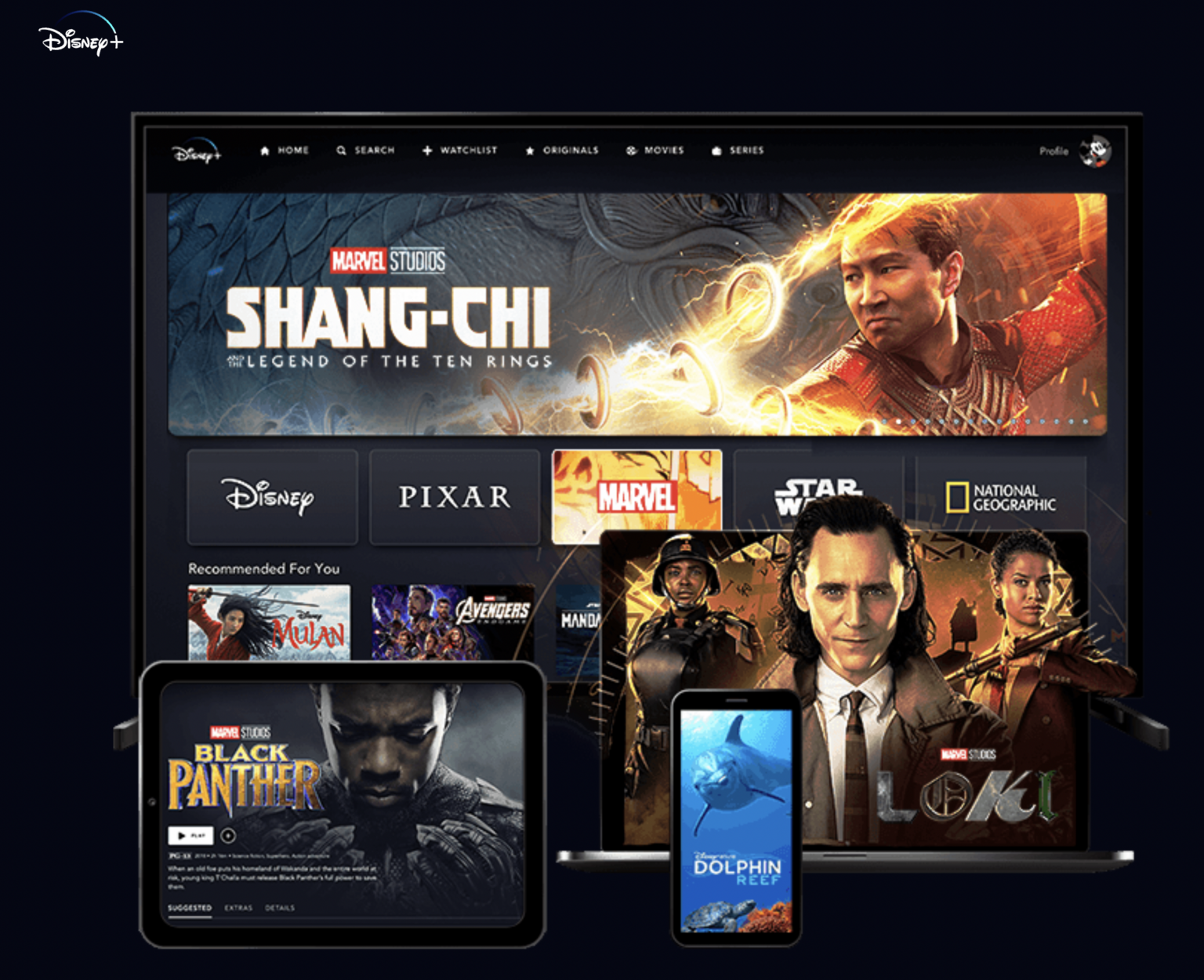 Disney+ Streaming Service - Everything You Need To Know
