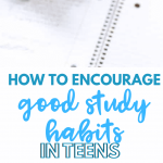 Good Study Habits in Teens