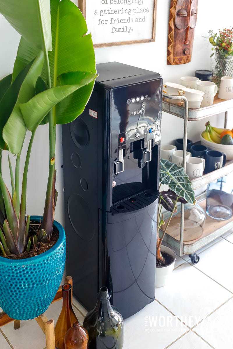 Welcome Home, Primo Water Dispenser