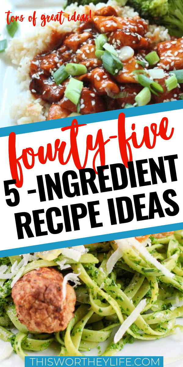 5 Ingredient Recipe Ideas To Try This Year - Over 45 Recipes!