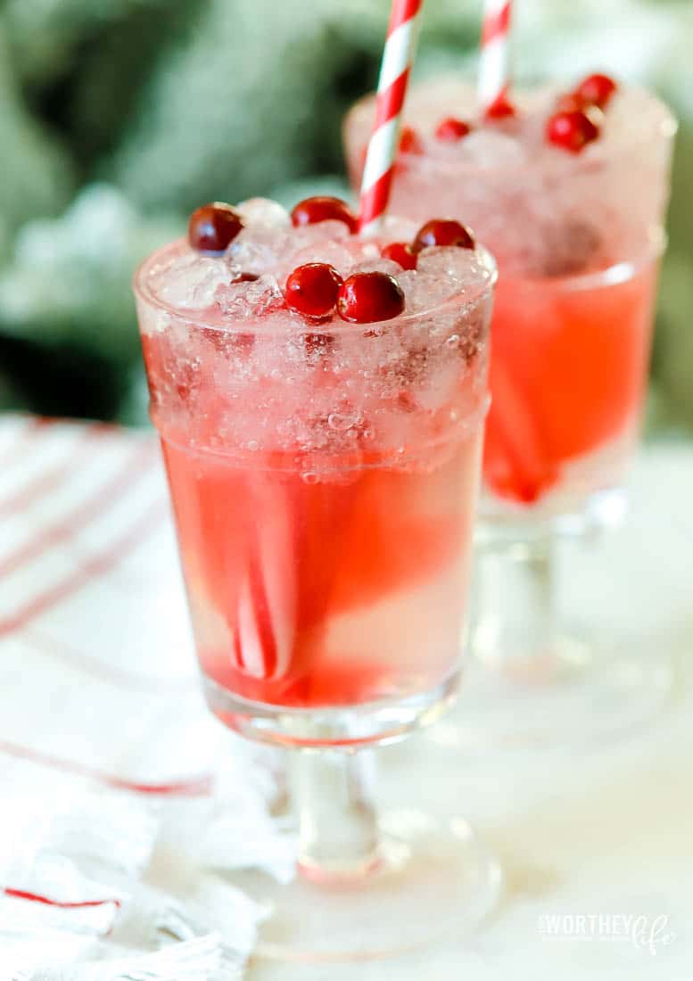 Peppermint Drink For Kids + Adults