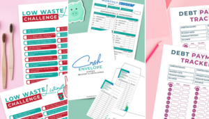 33+ Free Finance Printables