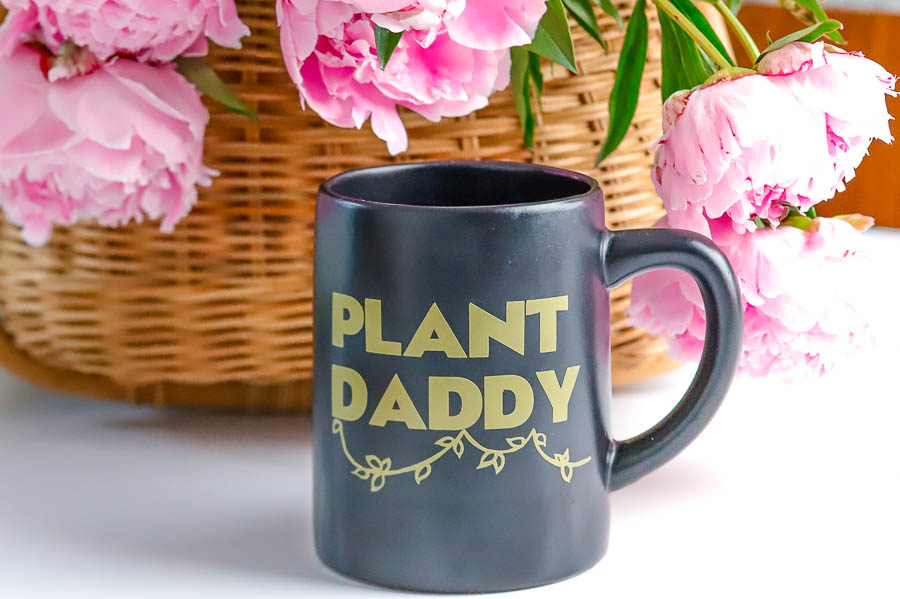 Plant Daddy Mug | Cricut Joy Project | Father's Day Ideas