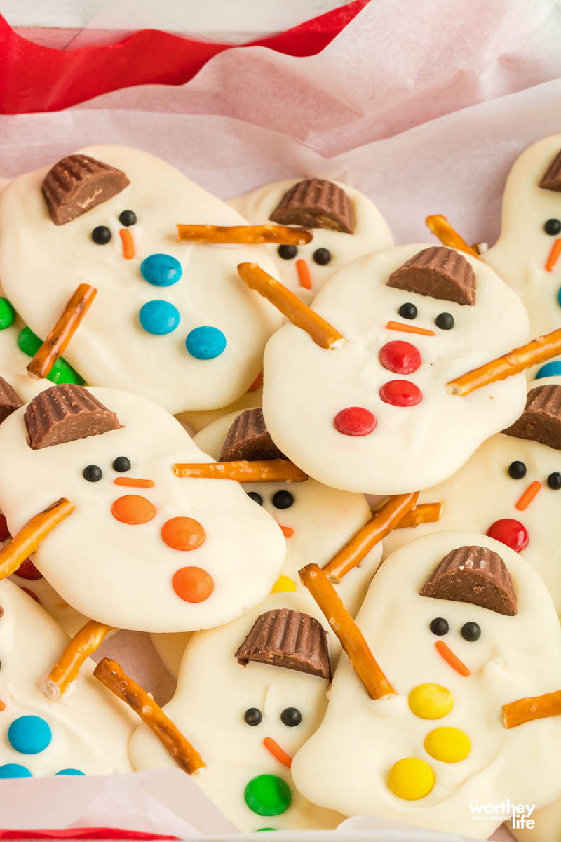 Melted Snowman Bark