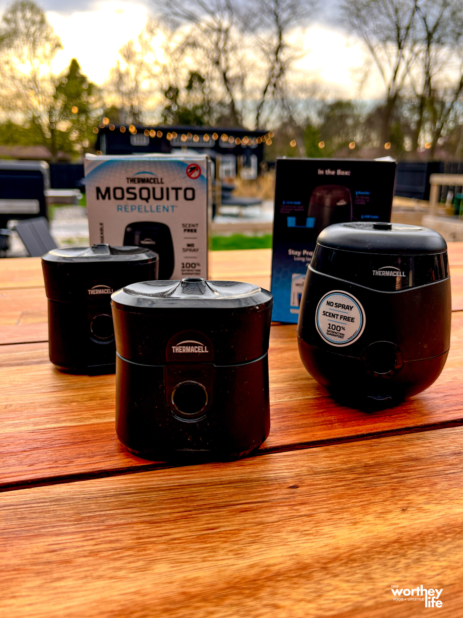 Best Backyard Mosquito Control: Enjoy Your Outdoor Spaces