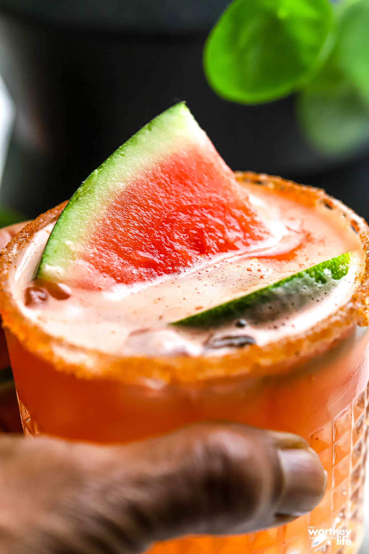 Watermelon Smash Cocktail