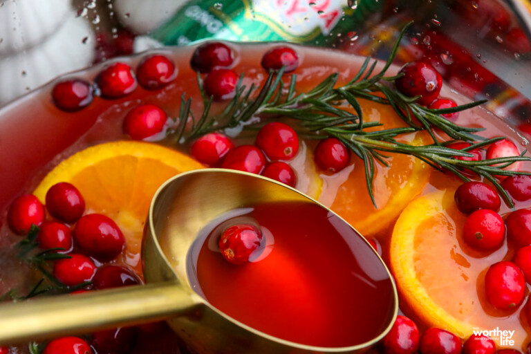 Spiced Cranberry Ginger Ale Punch