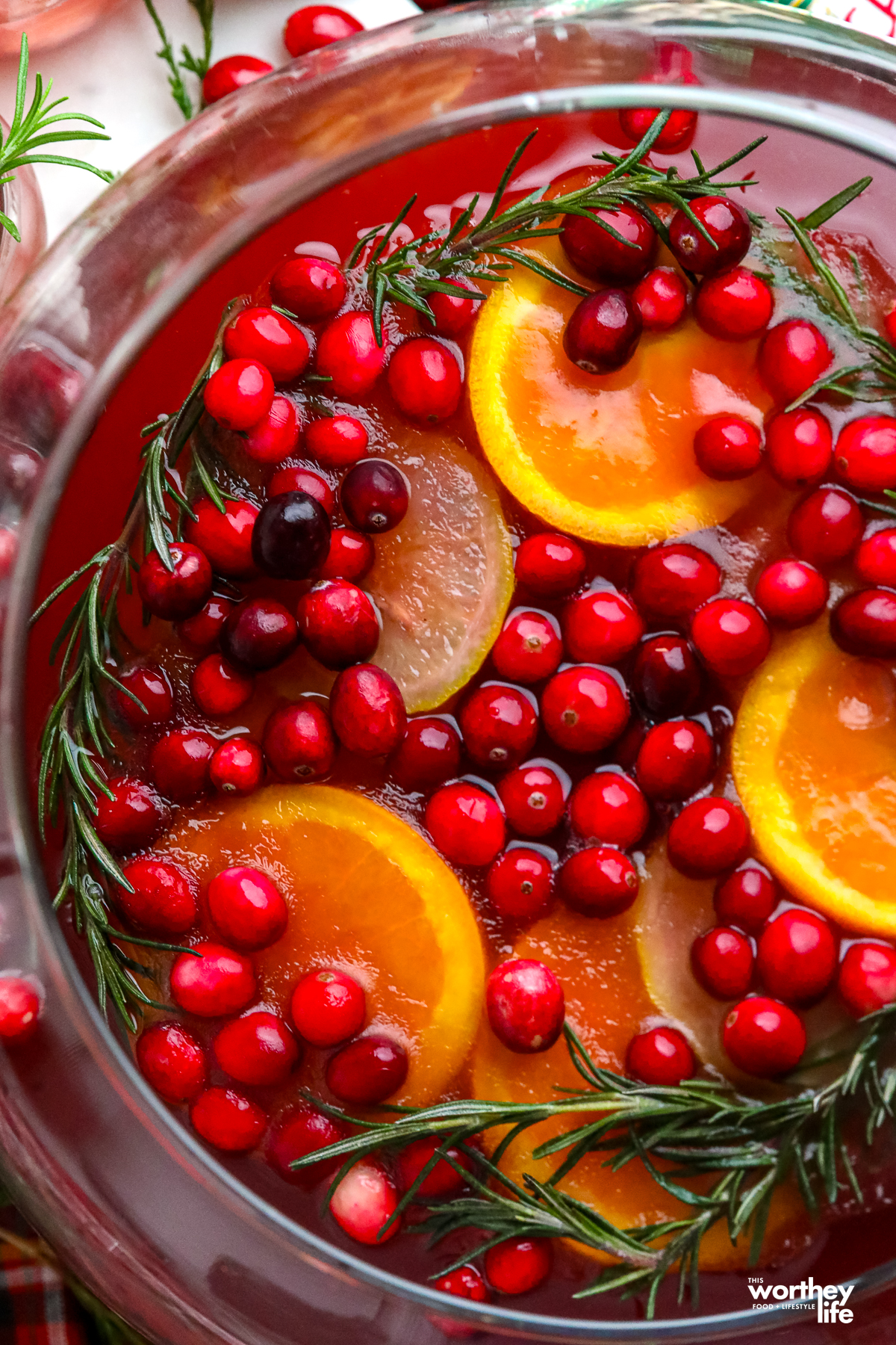 Spiced Cranberry Ginger Ale Punch